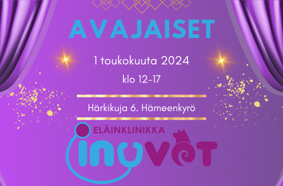 Ajankohtaista arkistot - Inuvet