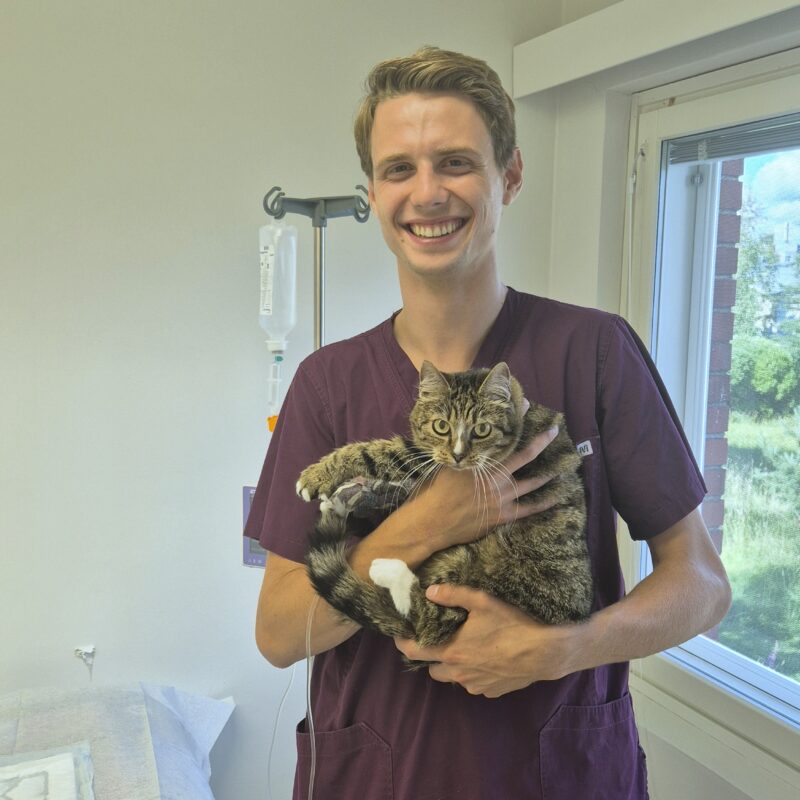 Inuvetin tiimi - Inuvet